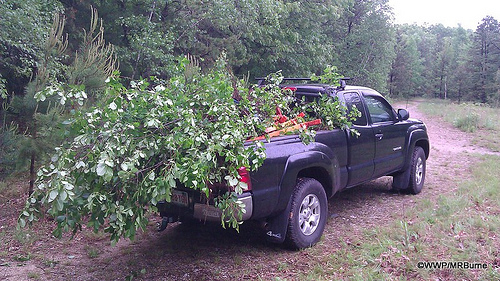 Control Methods – CISMA