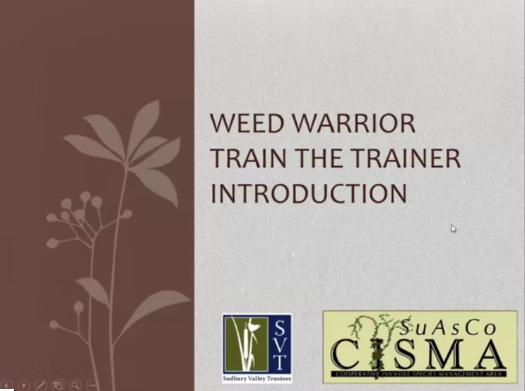 Weed Warrior Training Materials – CISMA